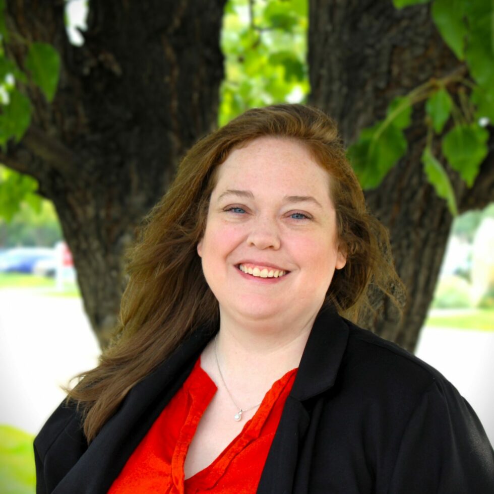 Lee Pesky Learners: Individualized learning profile created by evaluations